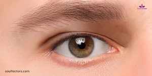 Types Of Eyelids: Identify Yours & Effortless Eye Makeup Hints!